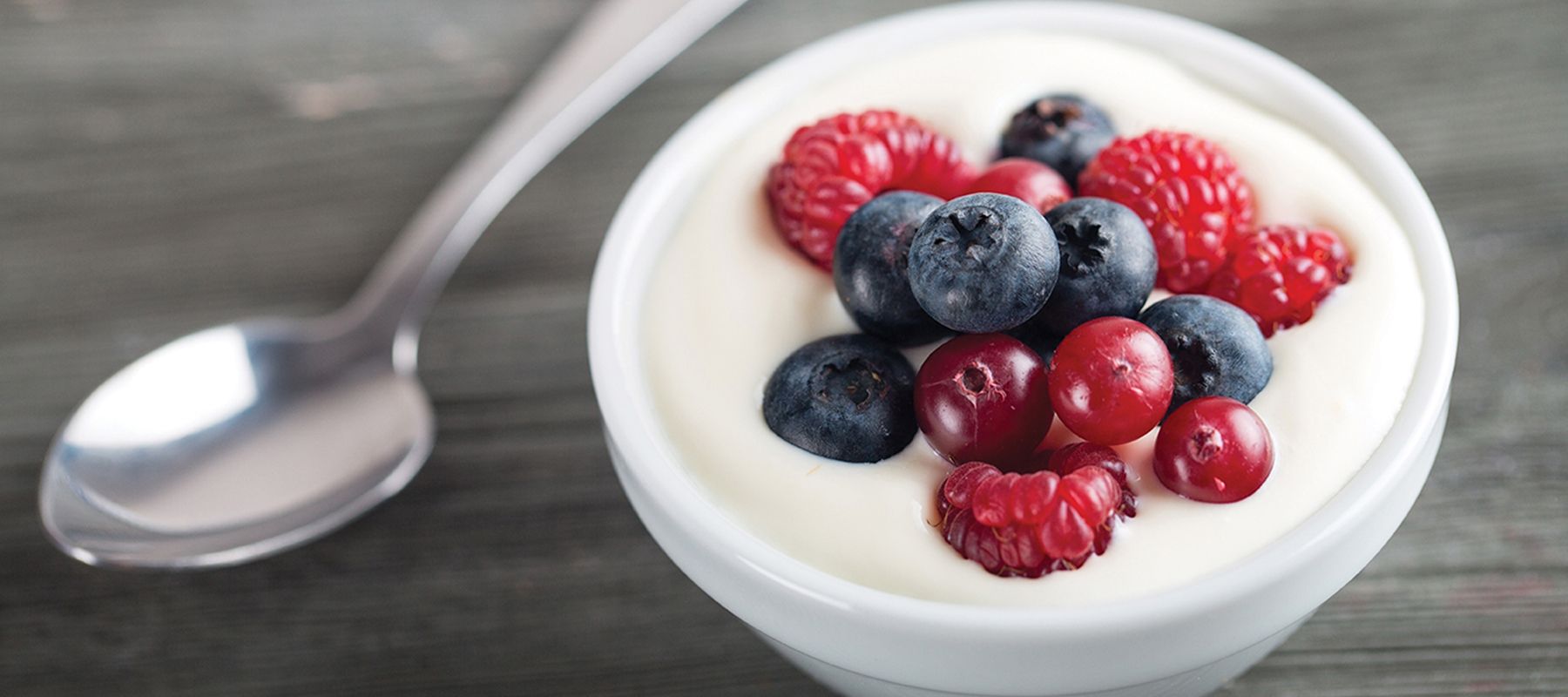 Natural Greek Yogurt | Recipe | Crockpot®